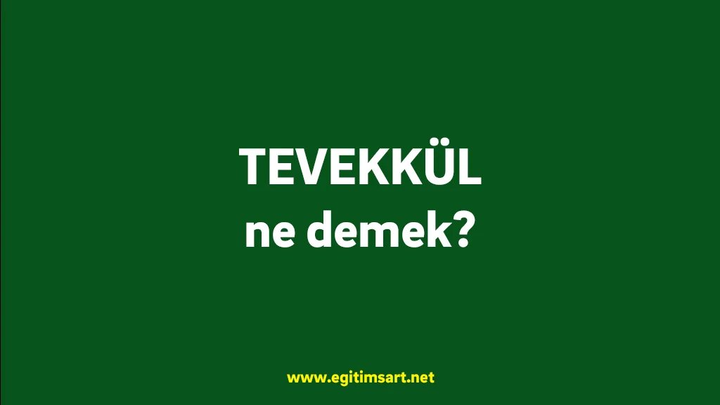 Tevekkül Nedir, Doğru Tevekkül Anlayışı Nedir?